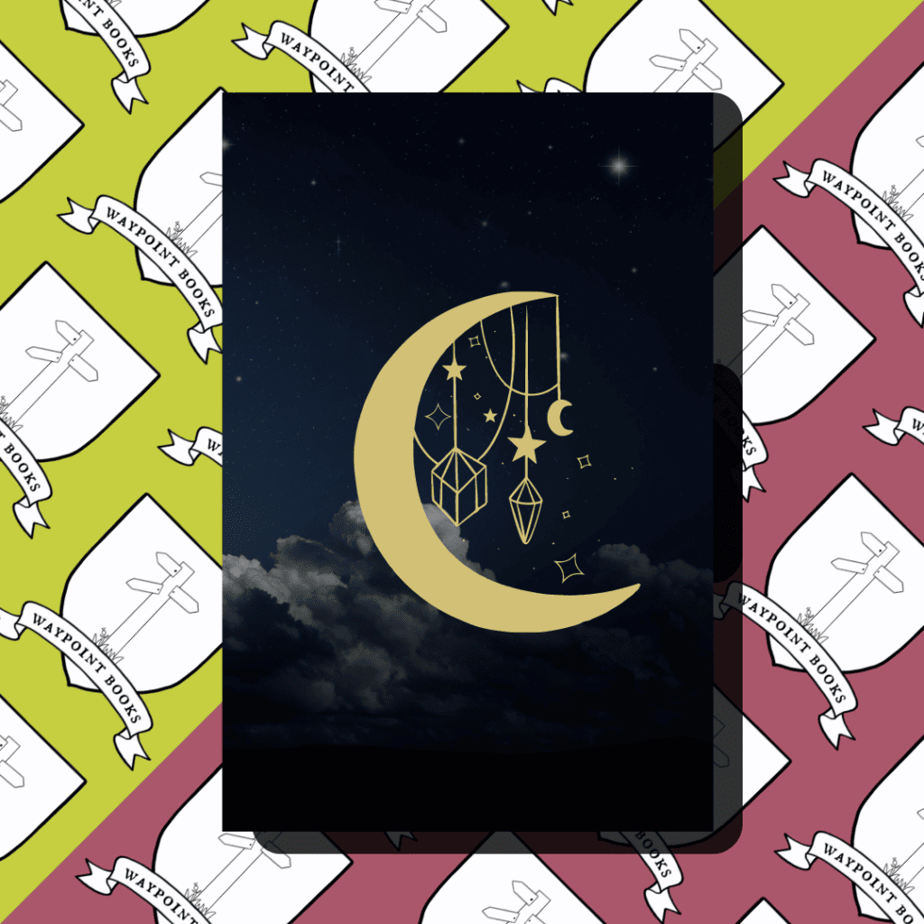 Full Moon Subscription Box - Waypoint Books